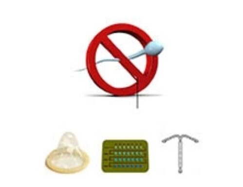 Easy English Sexual Health | Factsheets | Sexual Health Victoria ...